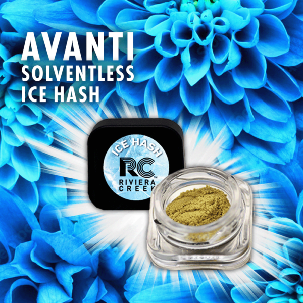 Avanti Ice Hash - Riviera Creek
